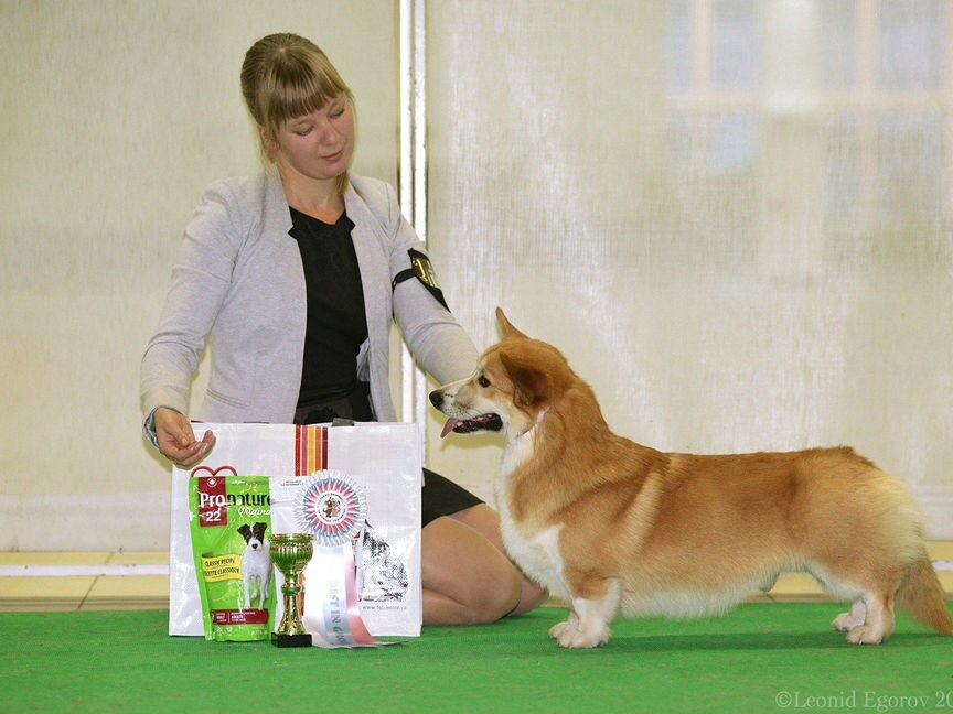 Ждет невест