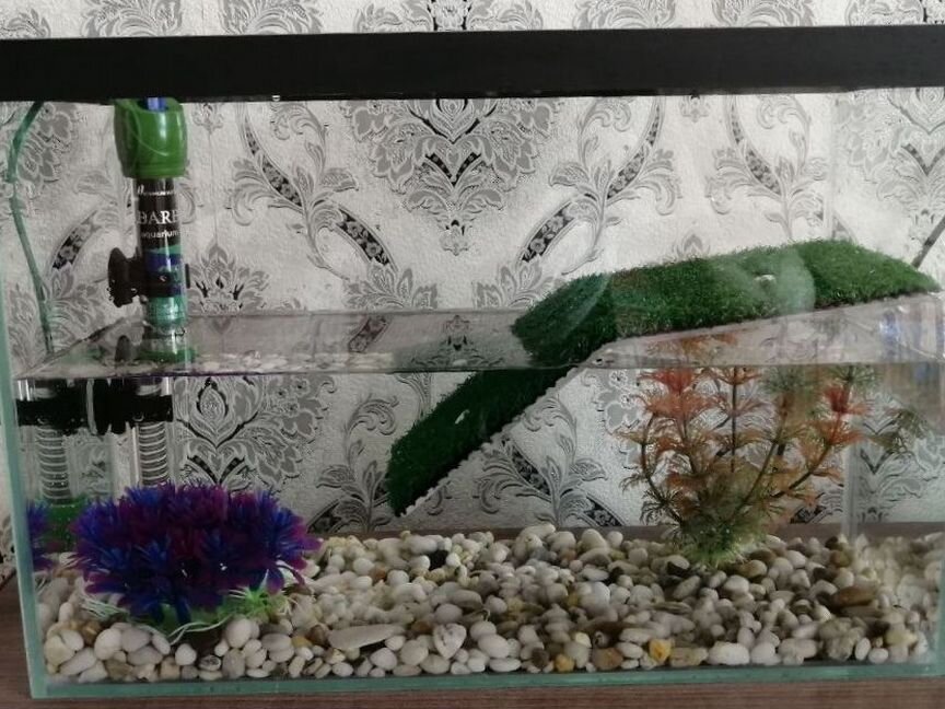 Аквариум для рыб и черепах