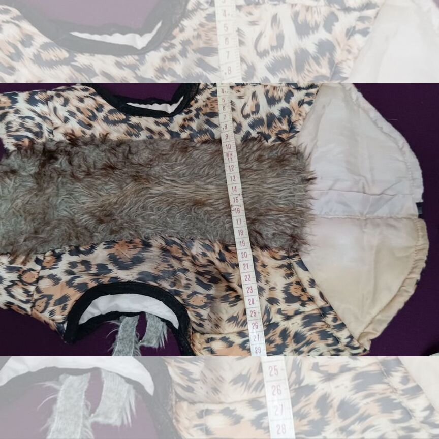 Одежда для собак мелких пород