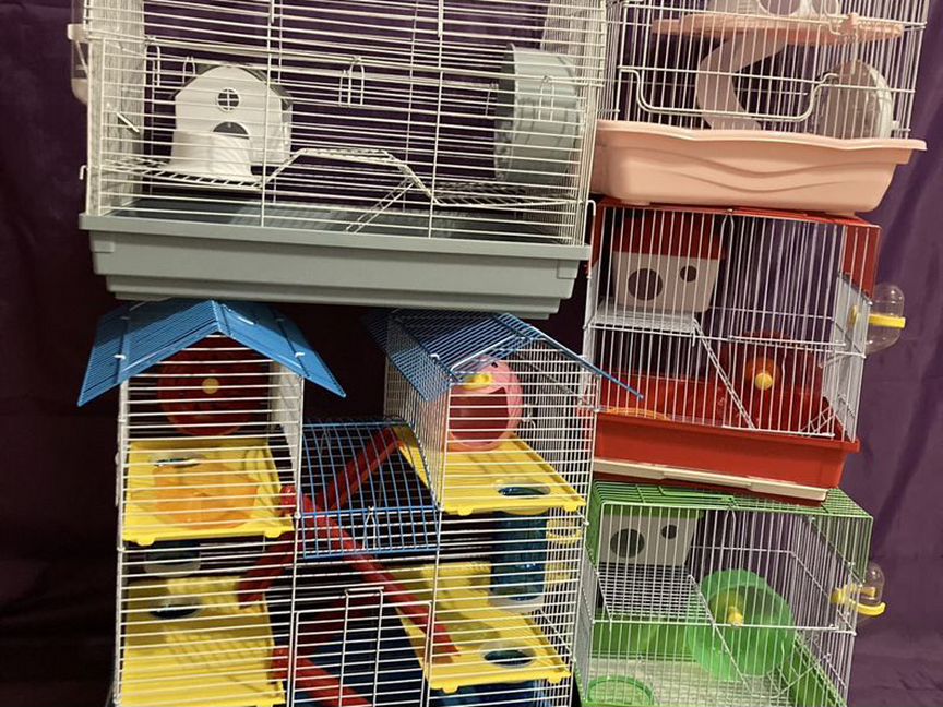 Новые клетки для хомячков, крысят, дегу