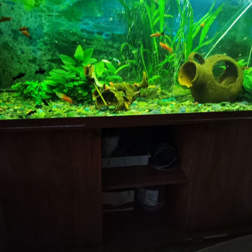 Аквариум с тумбой бу 320 литров