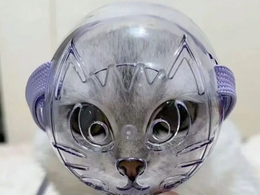 Намордник для кошек для собак