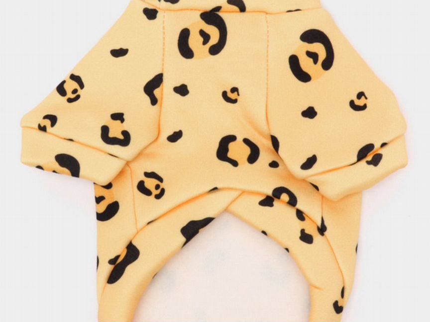 Толстовка для маленькой собаки