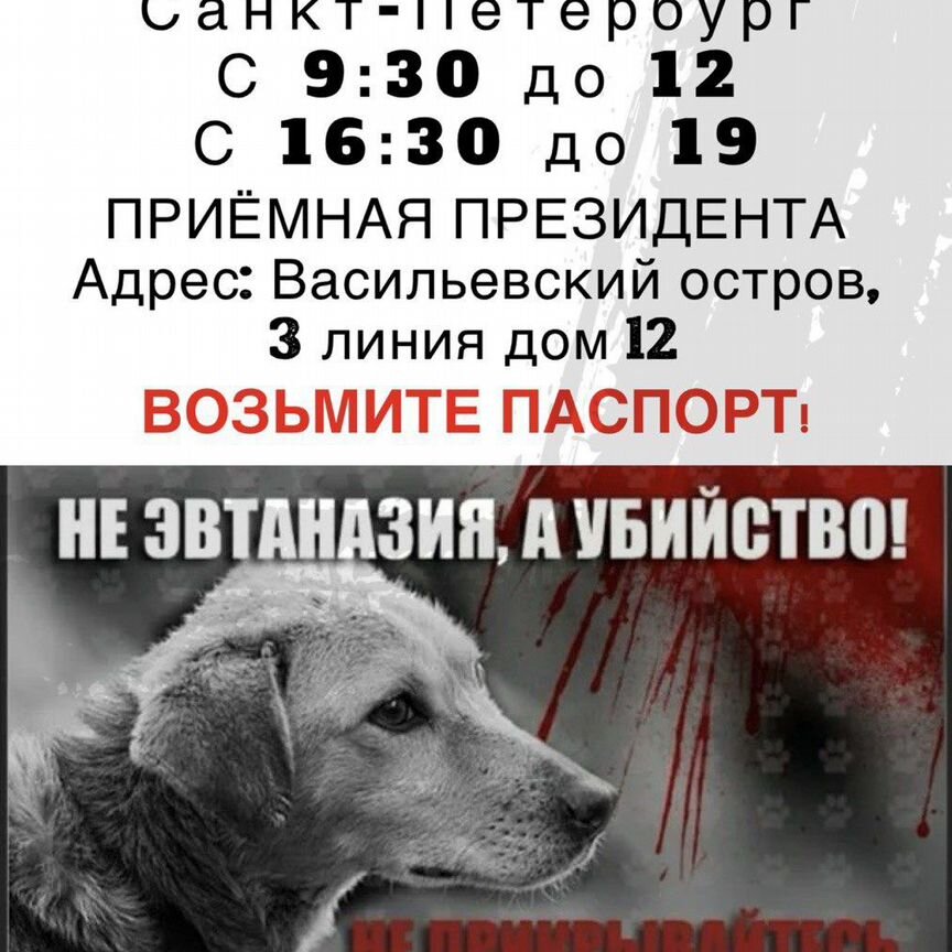 Нужны живые люди