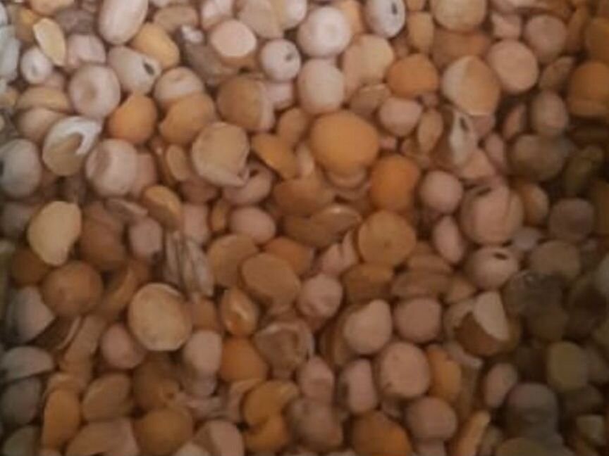 Горох половинки