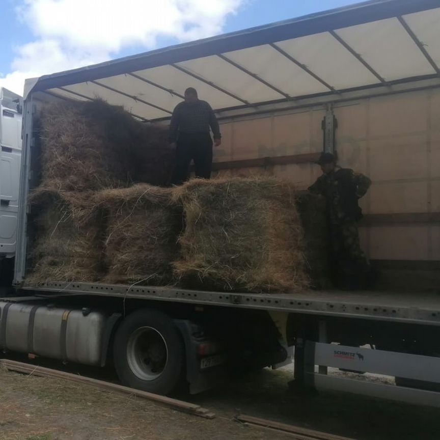 Сено с доставкой