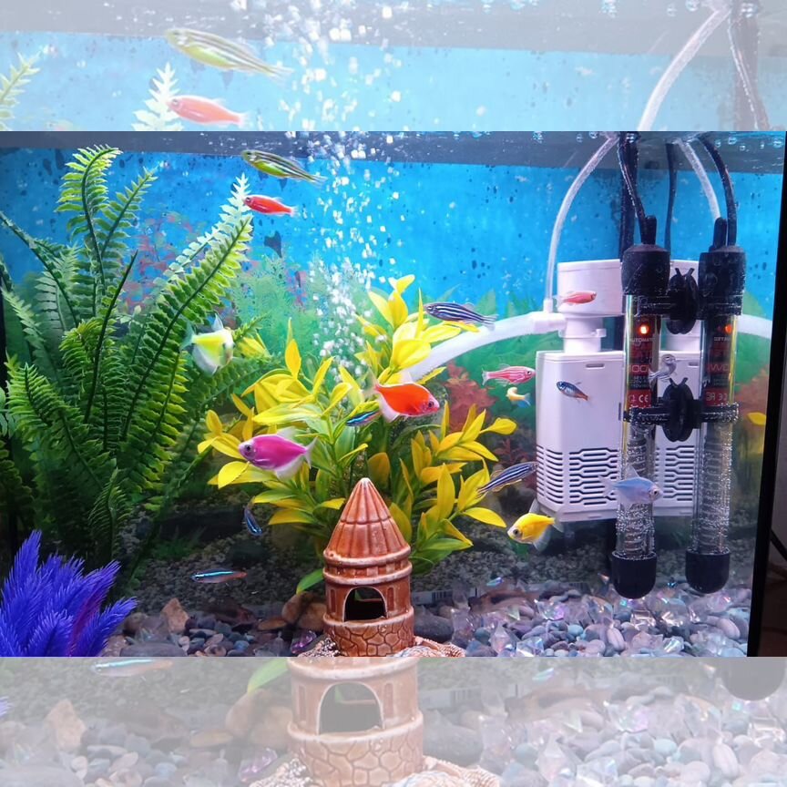 Аквариум с рыбками 30л, аквариум 100 л