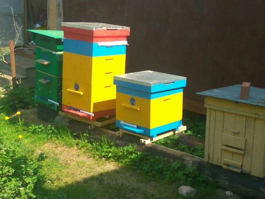 Улей для пчел бу
