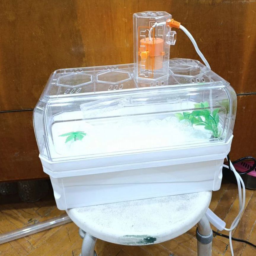 Аквариум для малышей черепах дорожный