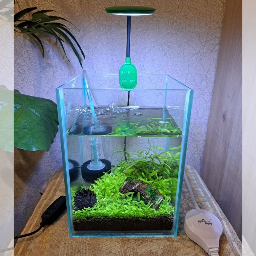 Аквариум 5 литров с растениями и оборудованием