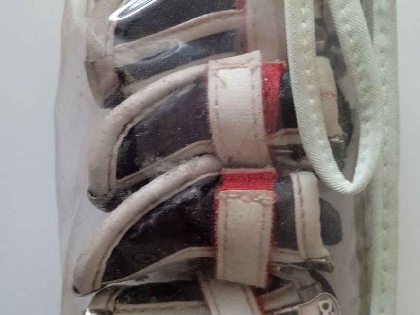 Кроссовки для той-терьеров