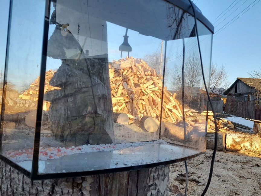 Аквариум для черепах, хомяков, свинок