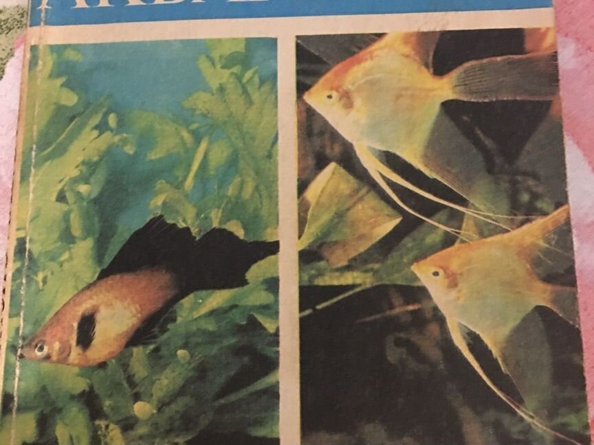 Жизнь аквариума