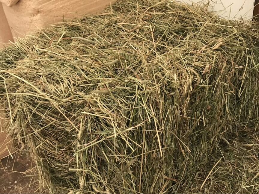 Сено в кипах