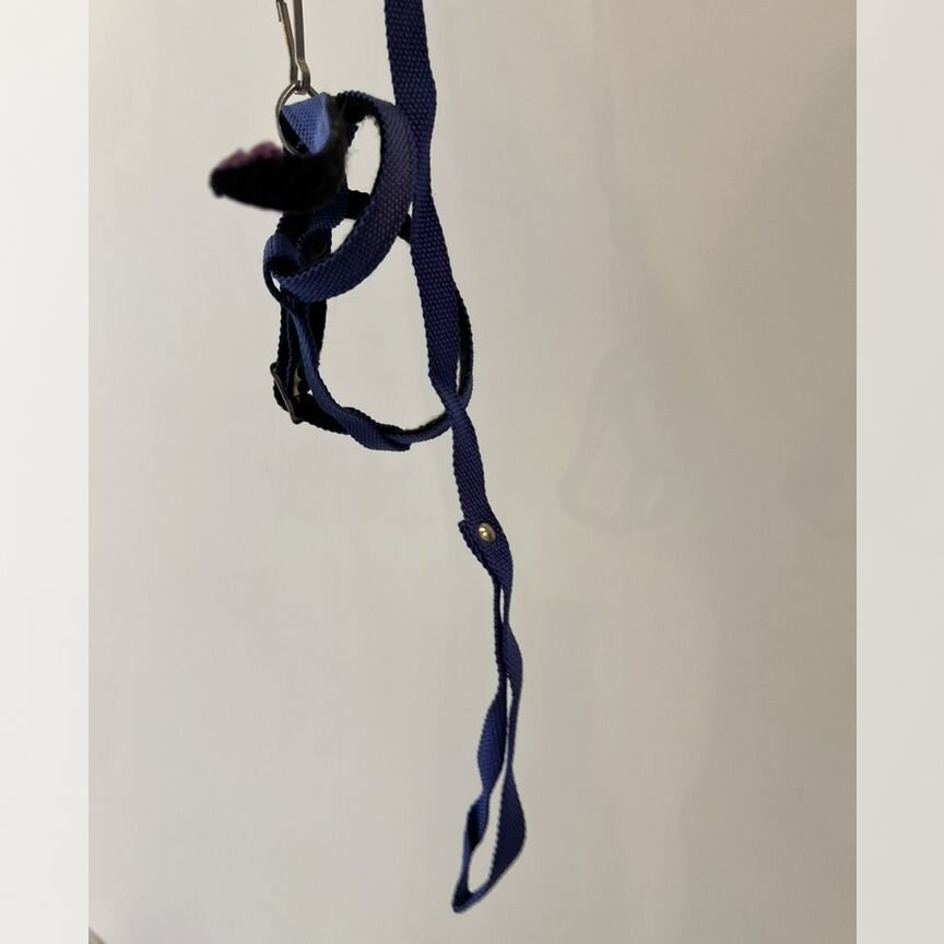 Шлейка (Поводок ) для кошки и собаки