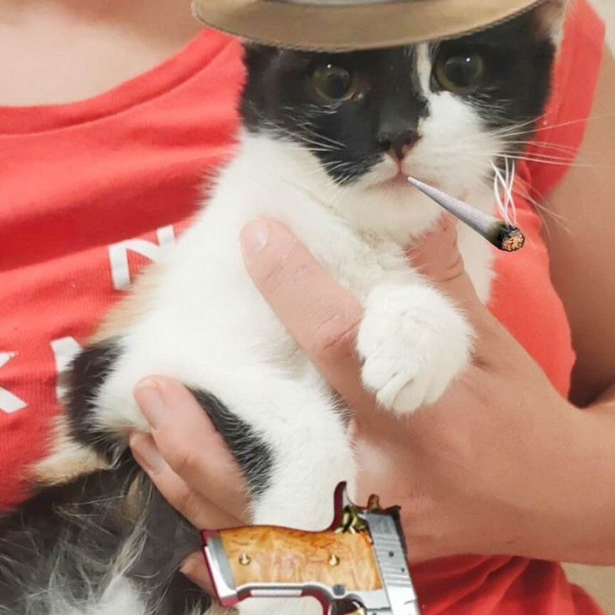 Девочка 5 месяцев