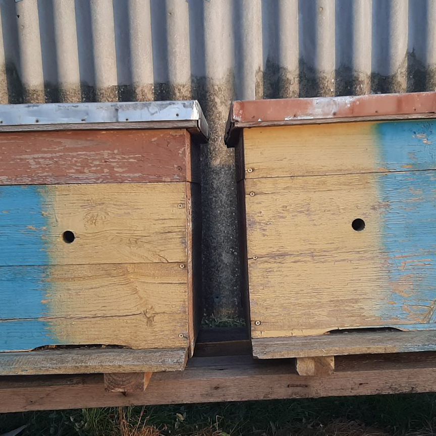 Улья лежаки 20рамок