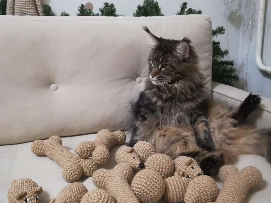 Игрушки для кошек, собак, мячики, косточки, мышки