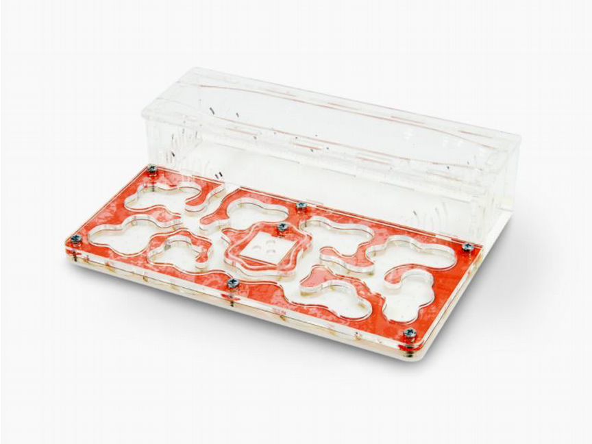 Муравьиная ферма «Эконом» 17,5х10х3см