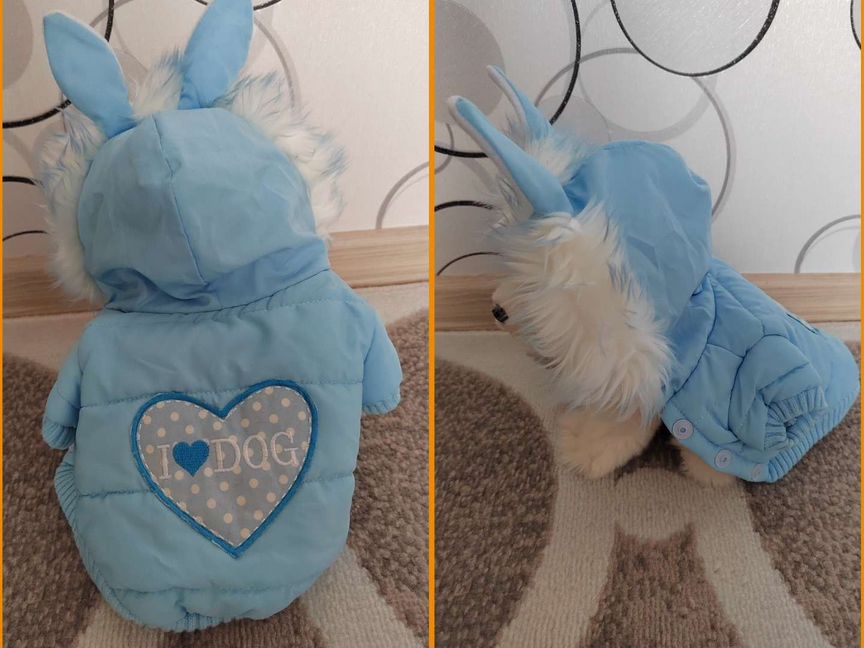 Вещи для собаки мелкой породы