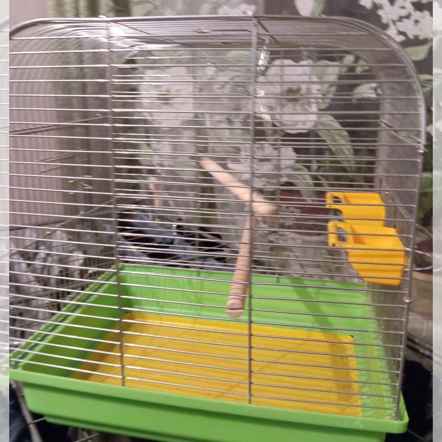 Клетка для попугая бу