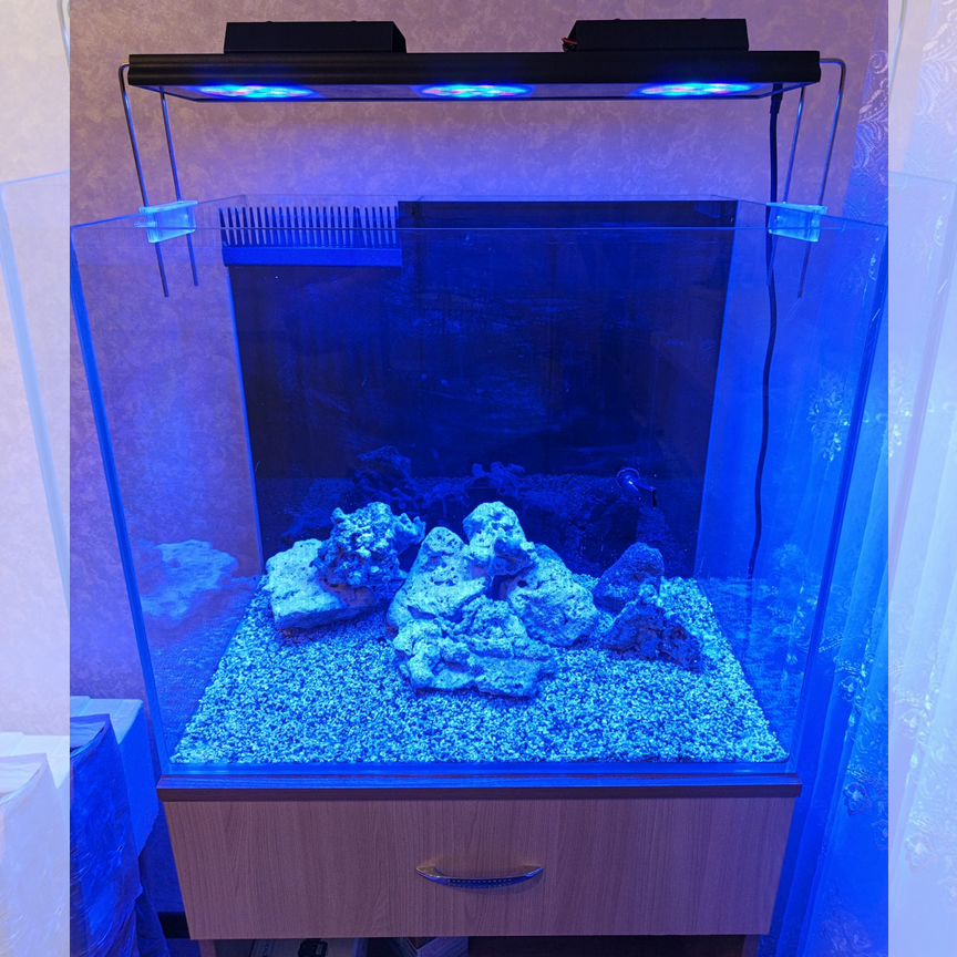 Морской аквариум 130л Скиммер eheim