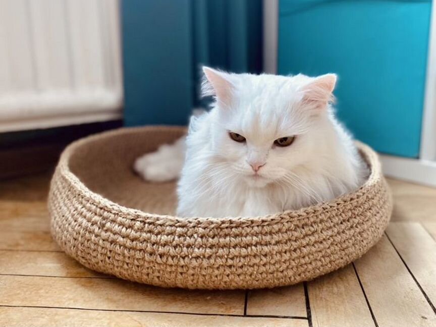 Лежак для кота