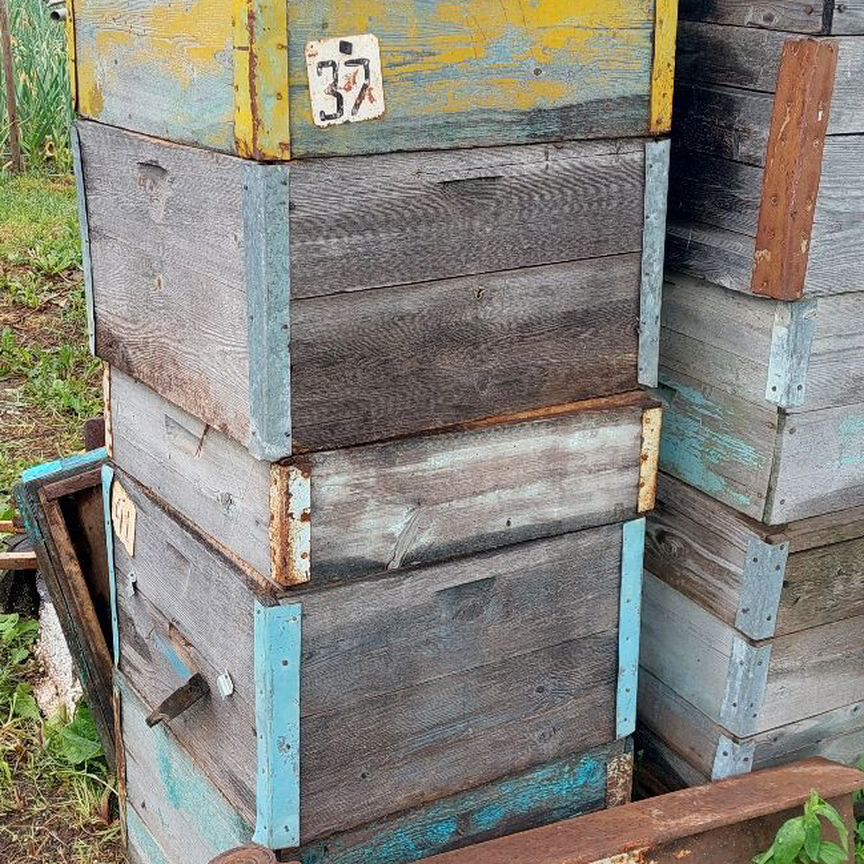 Улей для пчел 10 рамочный