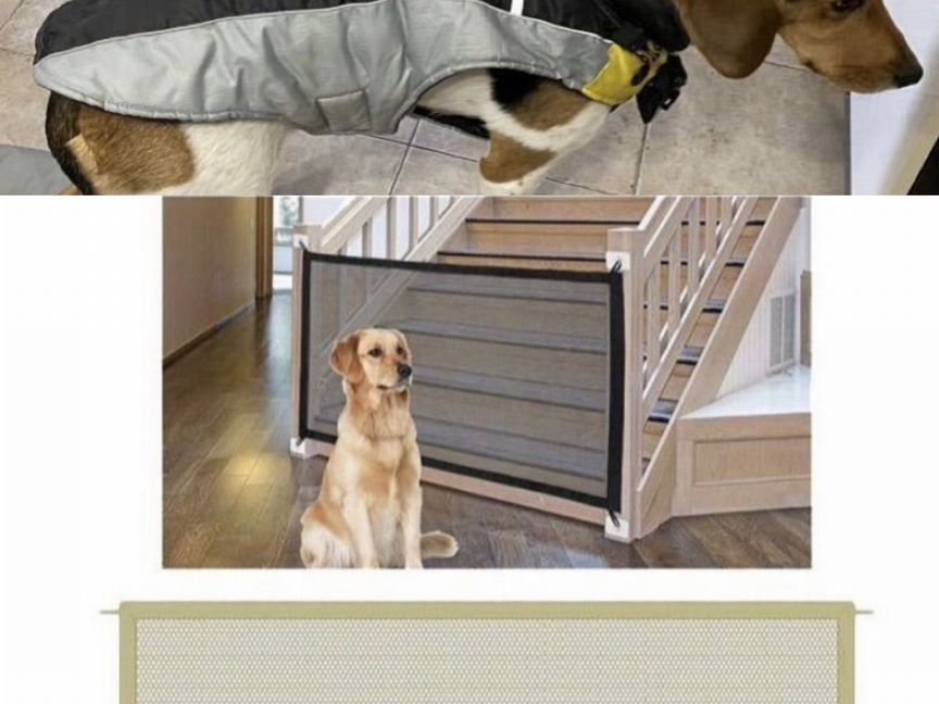 Все для собак