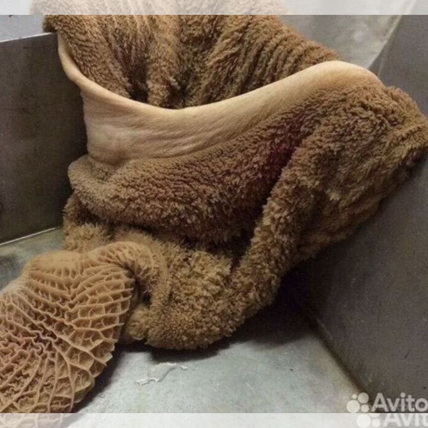 Корма для ваших любимых питомцев