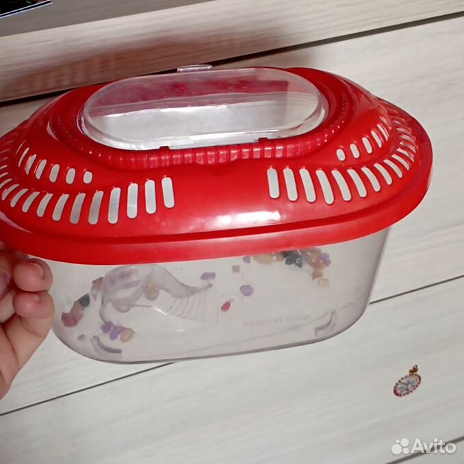 Черепашки красноухие с домом