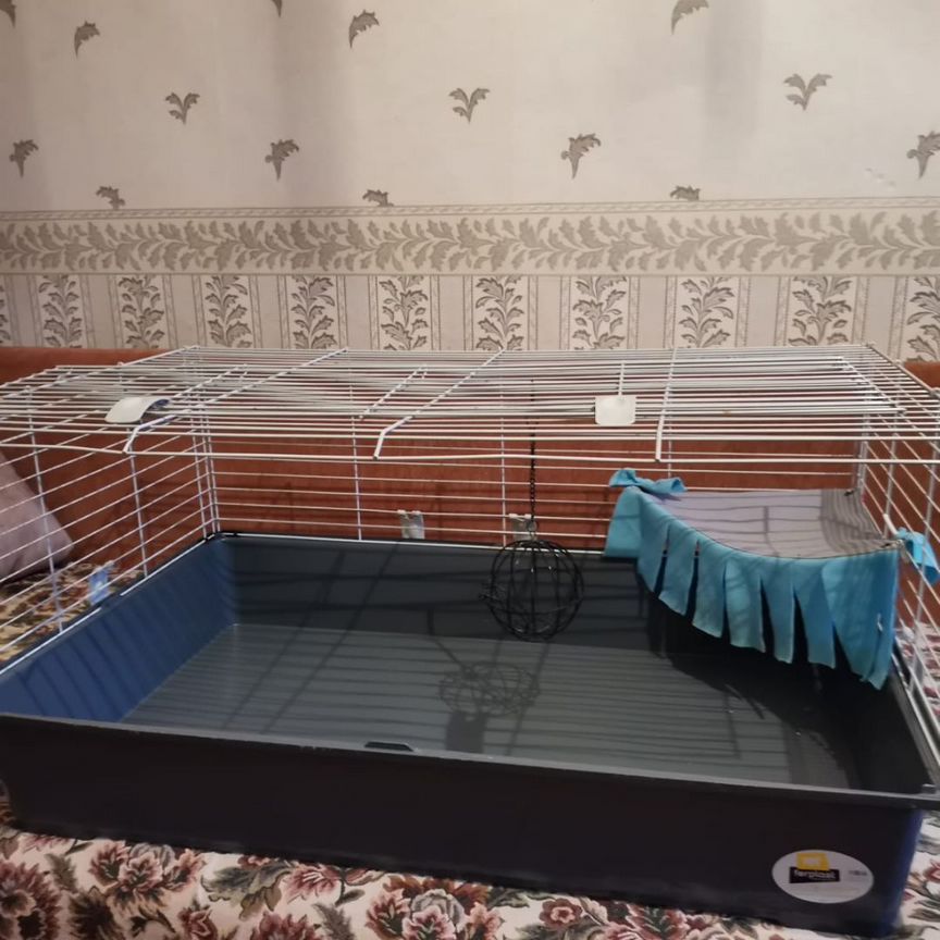 Клетка для грызунов бу