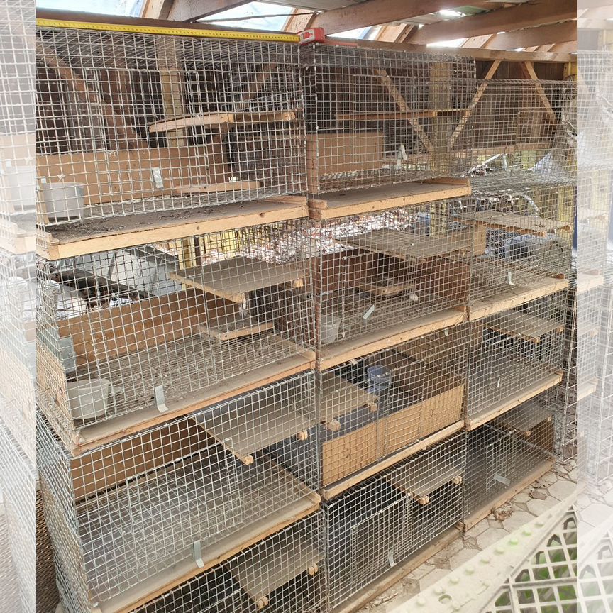 Клетки для перепелов б/у