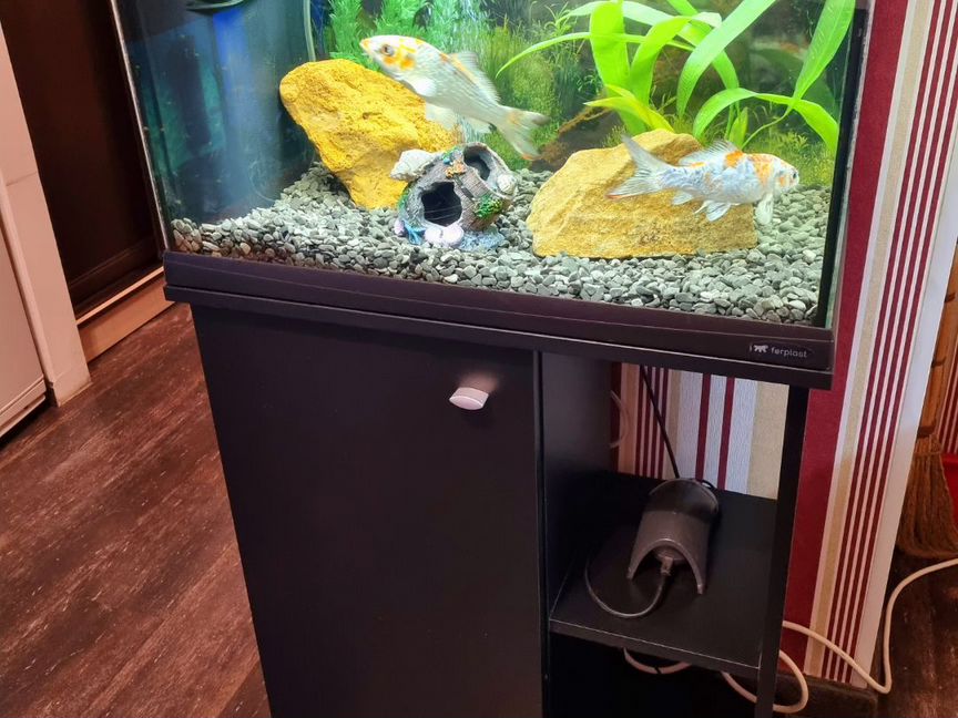 Аквариум ferplast с тумбой и рыбками