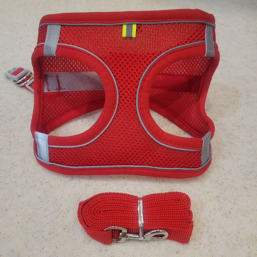 Шлейка для любимого дружка