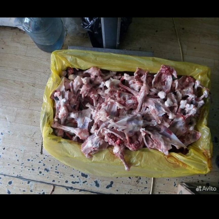 Куриные кости для собак