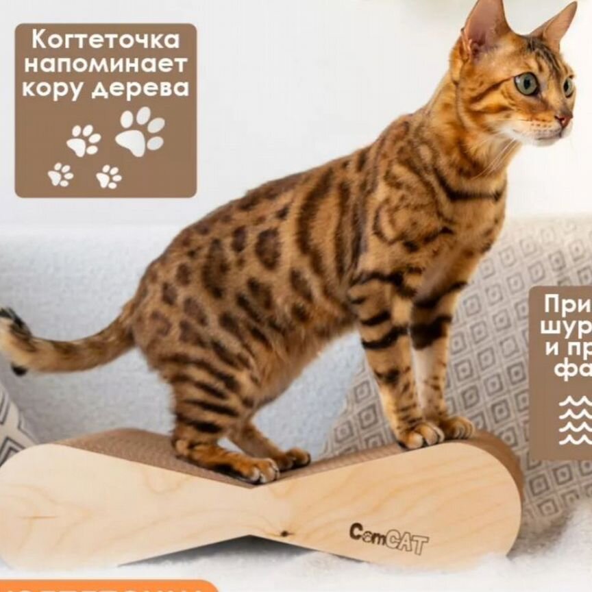 Когтеточка для кошек новая