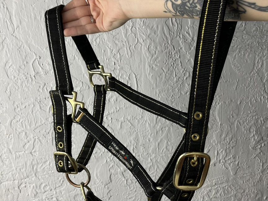 Недоуздок для лошади Full / xfull