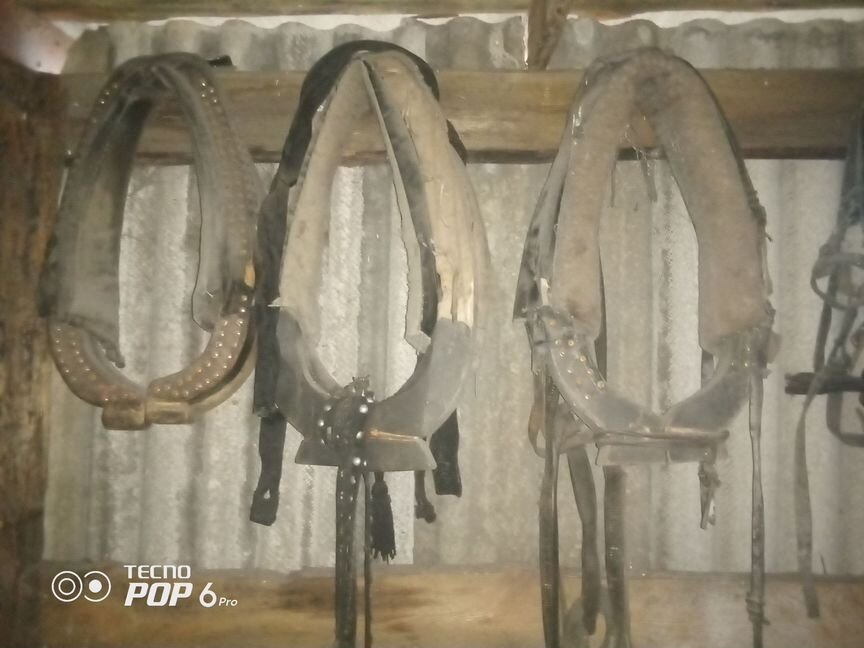 Продам принадлежности для коней