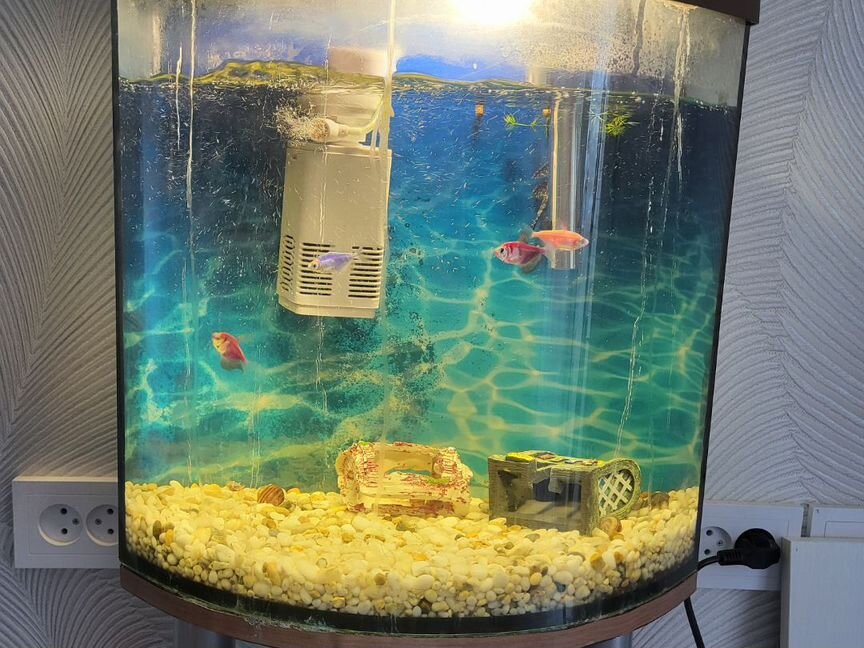 Аквариум