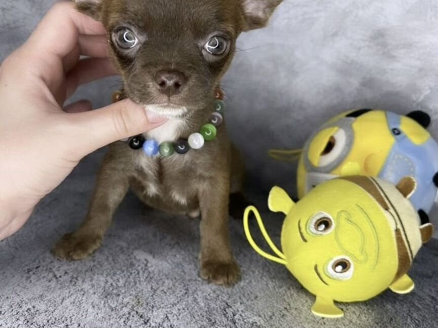 Кукольный мини малыш