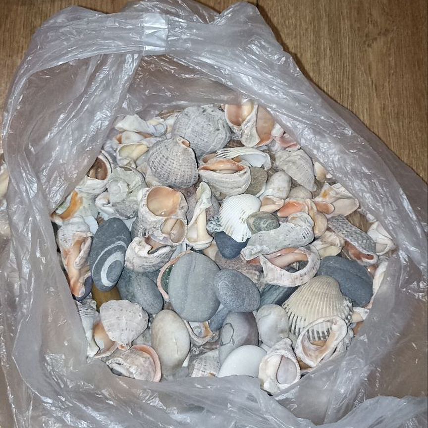 Ракушки и галька