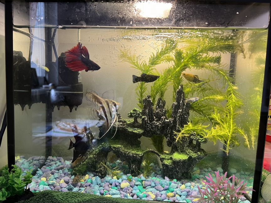 Аквариум с кислородом, рыбками и декором