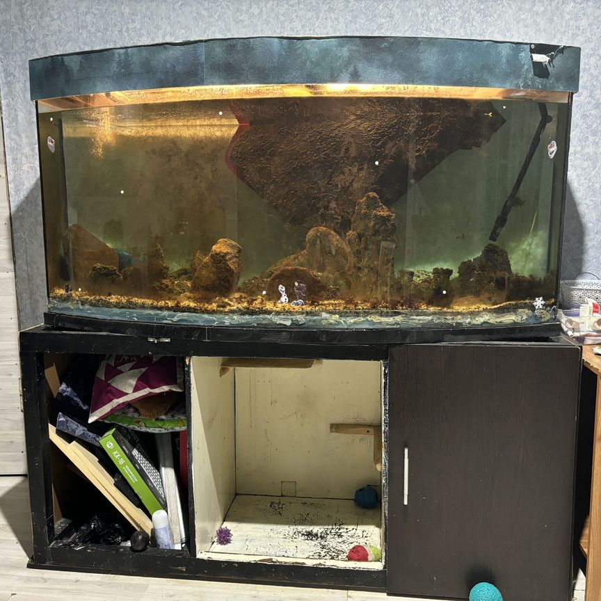 Аквариум с тумбой 650 литров
