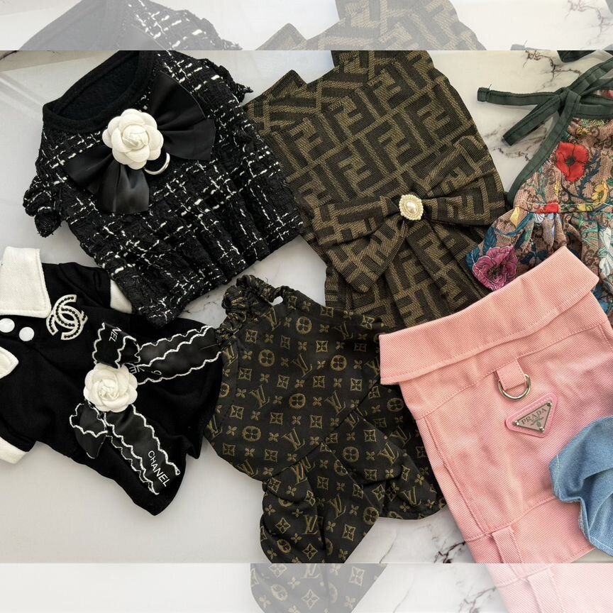 Платье gucci для собак и кошек chanel брендовое