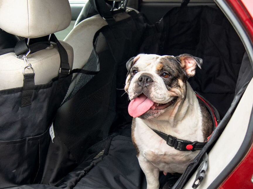 Автогамак для собак