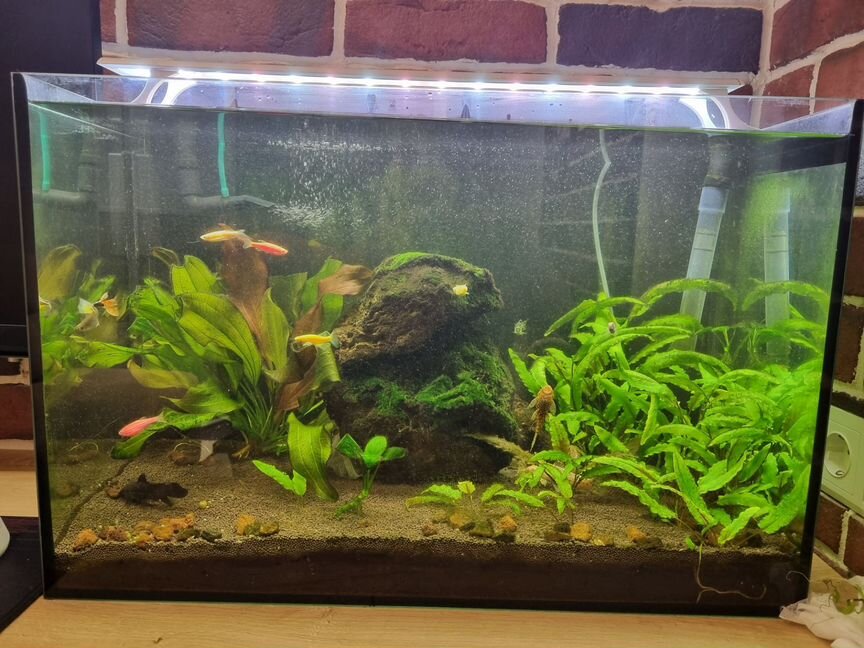 Аквариум 72 литра