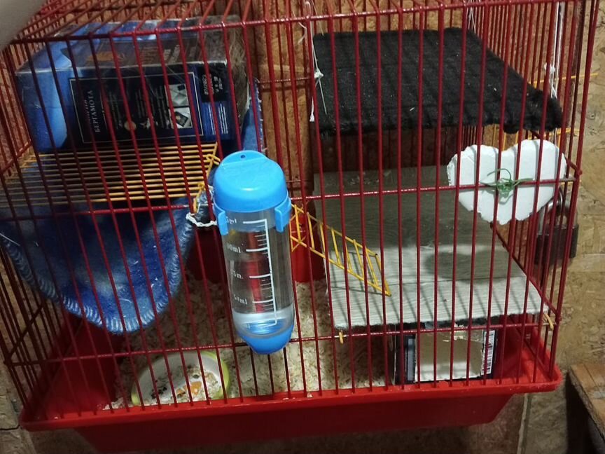 Клетка для грызунов