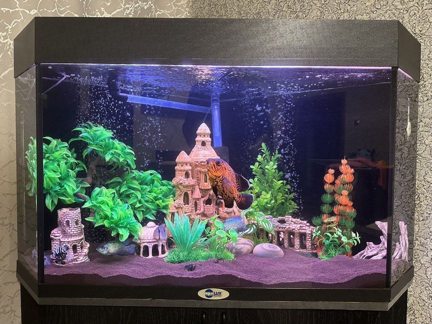 Аквариум для Вас