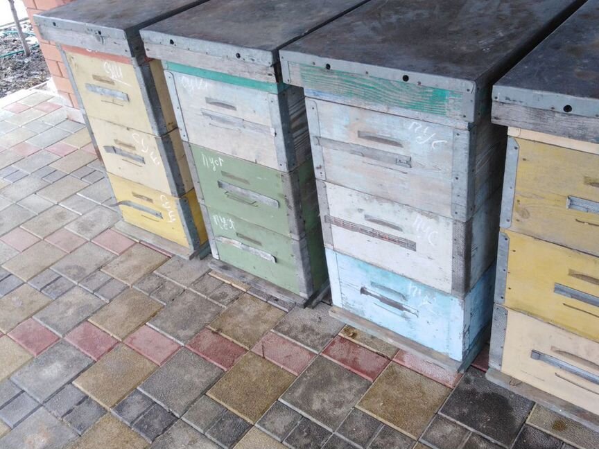 Ульи, суш, рамки